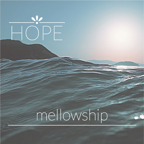 mellowship-web